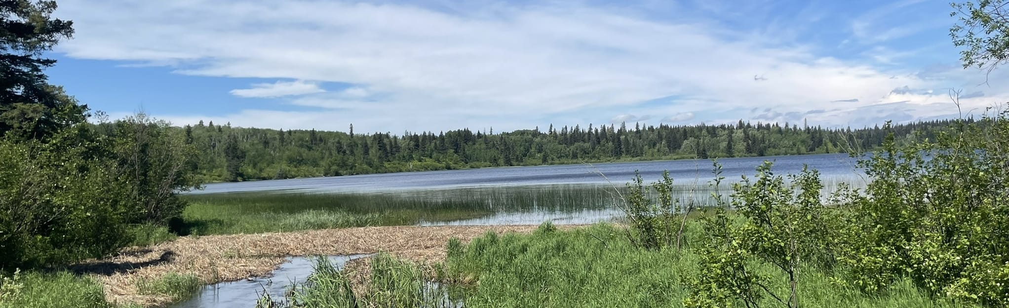 Moon Lake Trail, Manitoba, Canada - 236 Reviews, Map | AllTrails