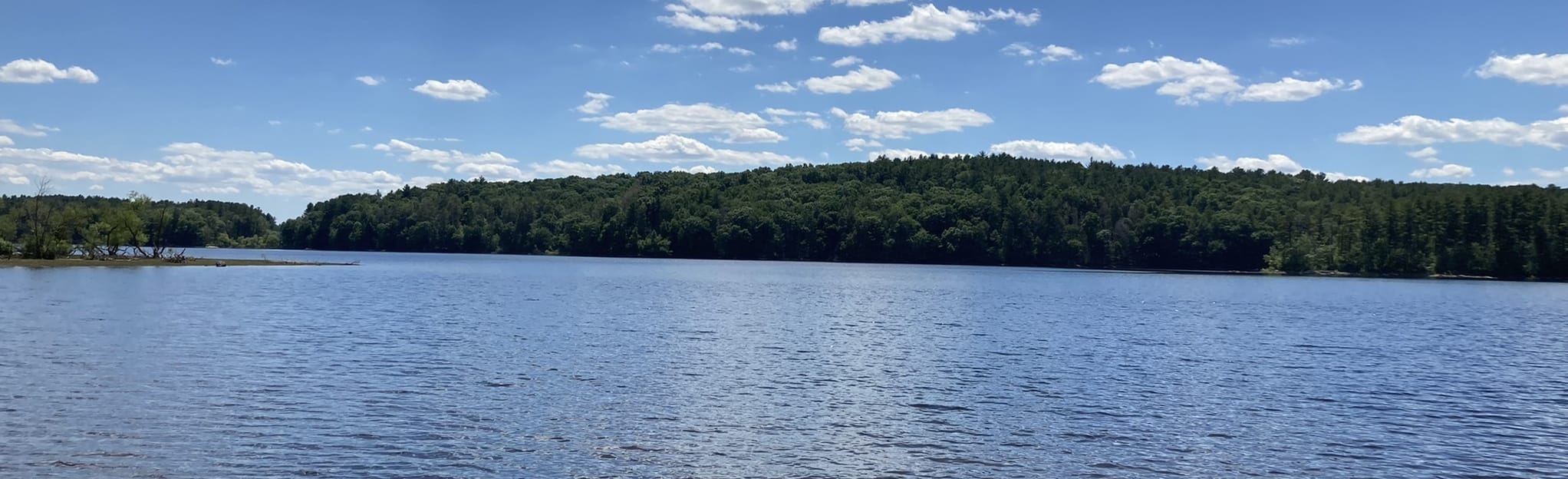 Shenipsit Lake Trail, Connecticut - 258 Reviews, Map | AllTrails