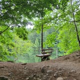 Colliery Dam Loop, British Columbia, Canada - 314 Reviews, Map | AllTrails