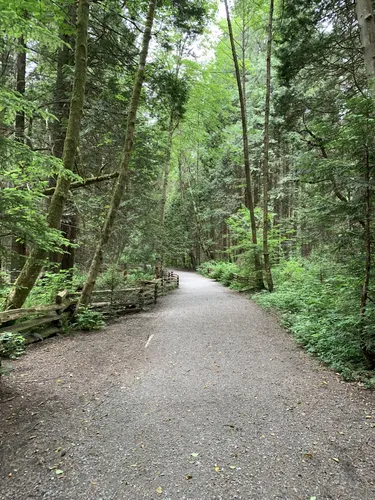 10 Best Hikes and Trails in Pacific Spirit Regional Park | AllTrails