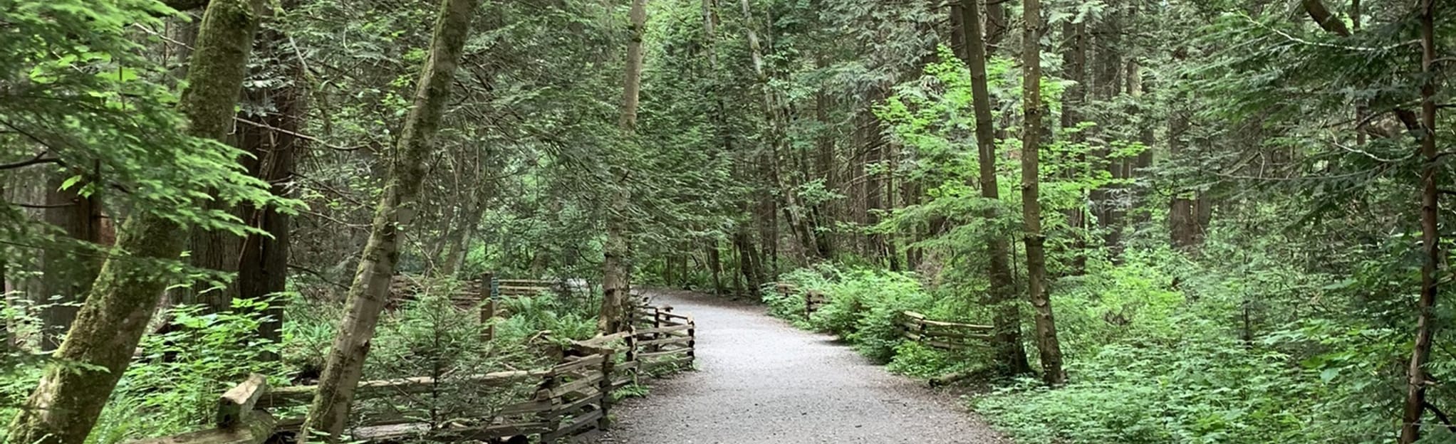 Council Trail - Sword Fern Trail - Imperial Trail: 238 Reviews, Map ...