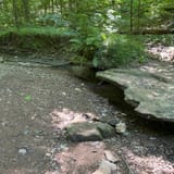 Patton Cave Loop Via Grubb Ridge, Indiana - 279 Reviews, Map | AllTrails