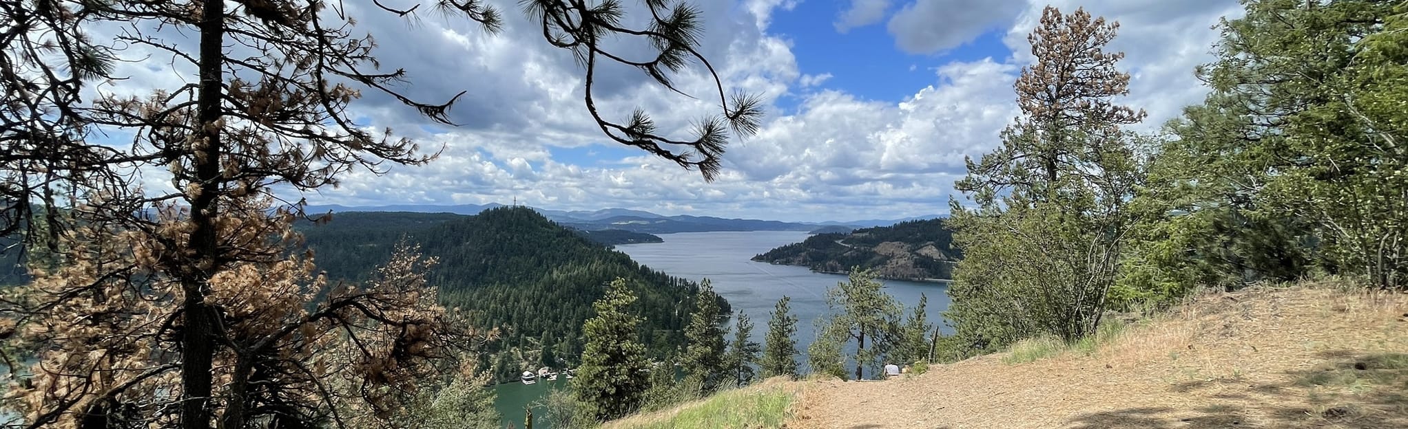 Mineral Ridge National Recreation Trail: 3020 Reviews, Map - Idaho ...