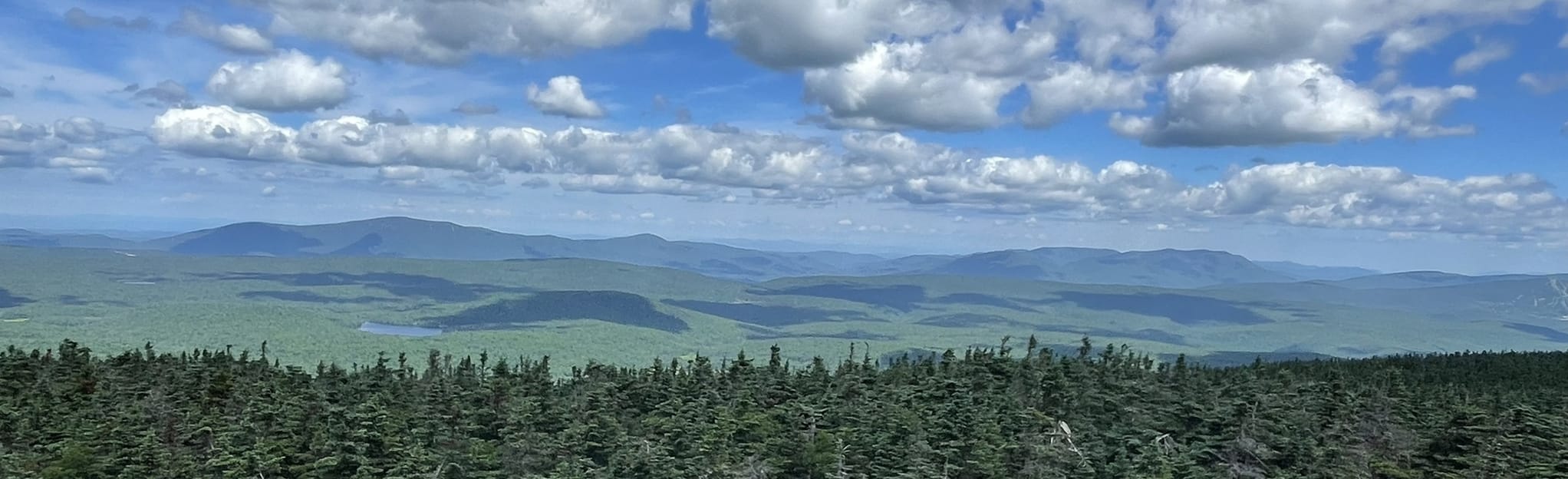 Stratton Mountain Firetower Trail: 108 Reviews, Map - Vermont | AllTrails