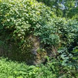 Fort Foote Civil War Ruins, Maryland - 151 Reviews, Map | AllTrails