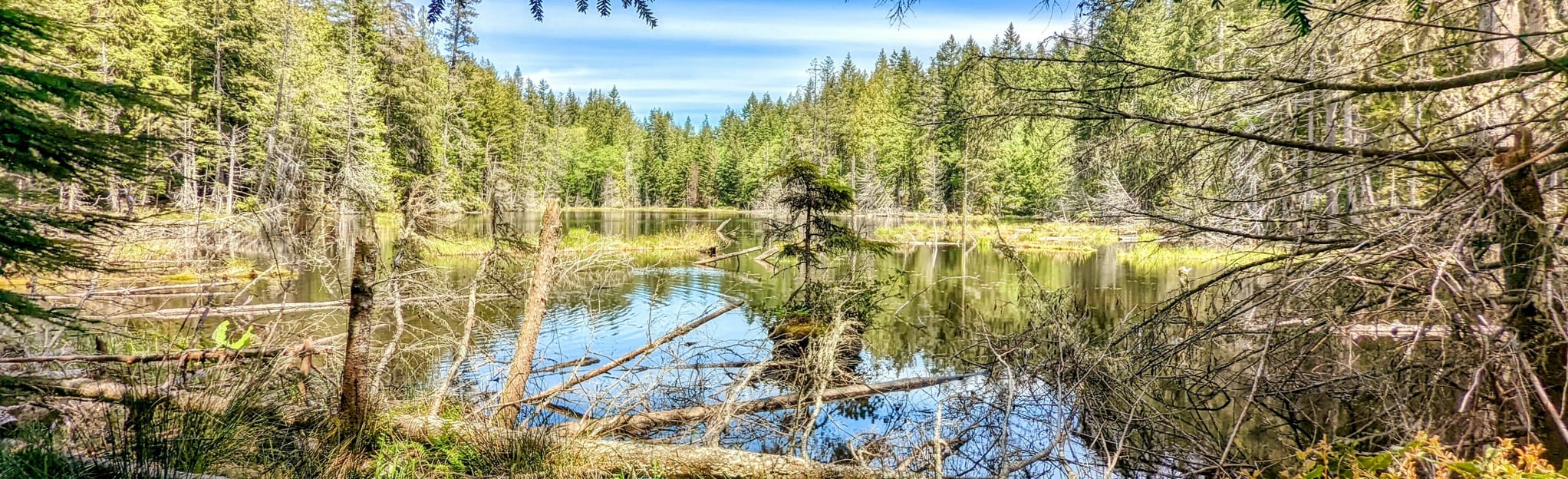 Maple Mountain via Osborne Yellow and Pink Trails: 78 Reviews, Map ...