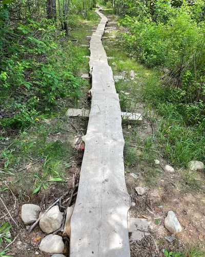 Best Hikes and Trails in Pike Lands Cove | AllTrails