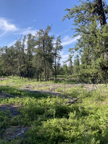 10 Best Hikes and Trails in Whiteshell Provincial Park | AllTrails