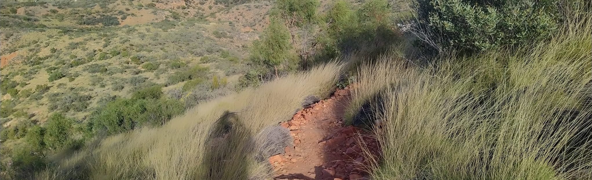 Mount Sonder Lookout, Northern Territory, Australia - 12 Reviews, Map ...