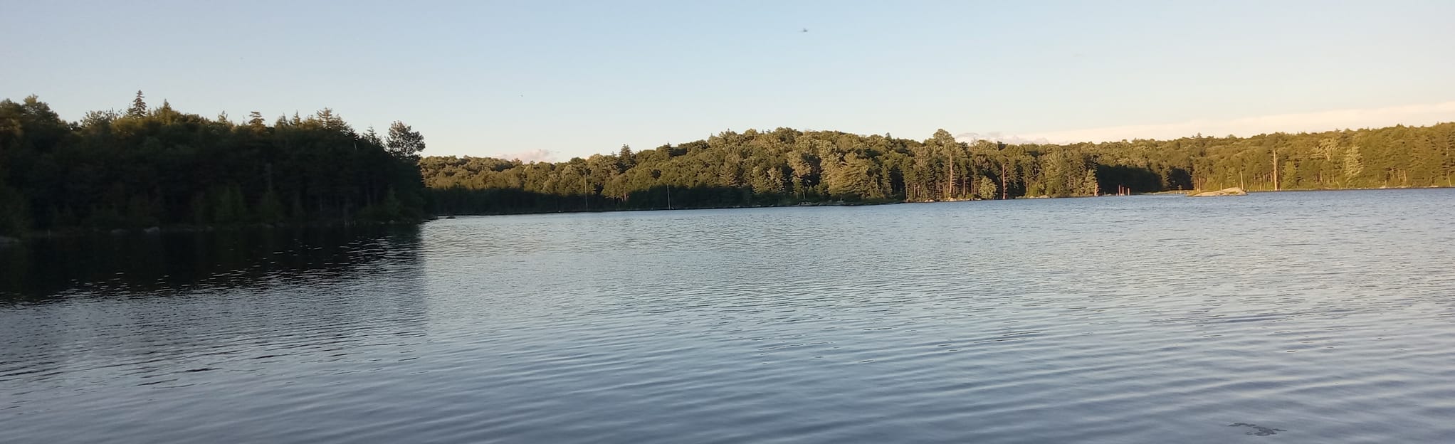 Gull Lake via Mill Creek Road: 9 Reviews, Map - New York | AllTrails