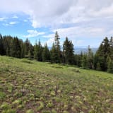 Delano Peak, Utah - 217 Reviews, Map | AllTrails