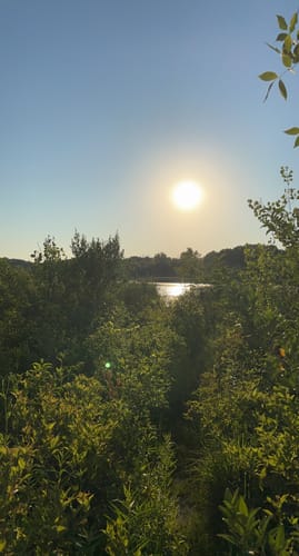 Best Hikes and Trails in Grobschmidt Park | AllTrails