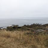 Rocky Point Trail, California - 57 Reviews, Map | AllTrails