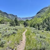 Little Blitzen Gorge Trail, Oregon - 59 Reviews, Map | AllTrails