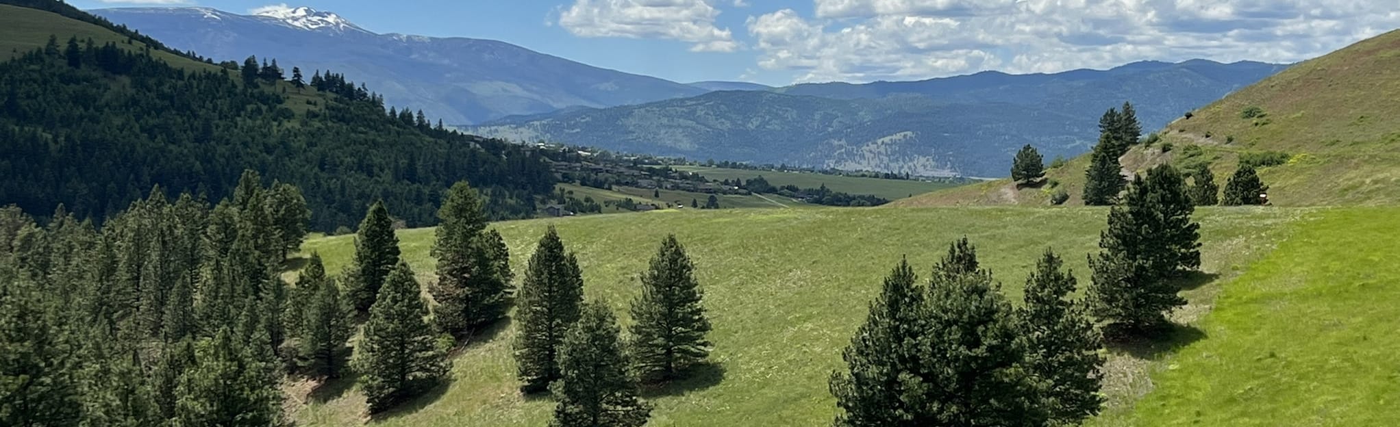 Mount Sentinel and Pattee Canyon Loop | Map, Guide - Montana | AllTrails