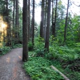 Tickle Creek Trail, Oregon - 294 Reviews, Map | AllTrails