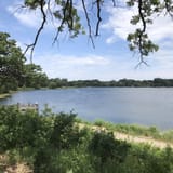 Lake Phalen, Minnesota - 659 Reviews, Map | AllTrails