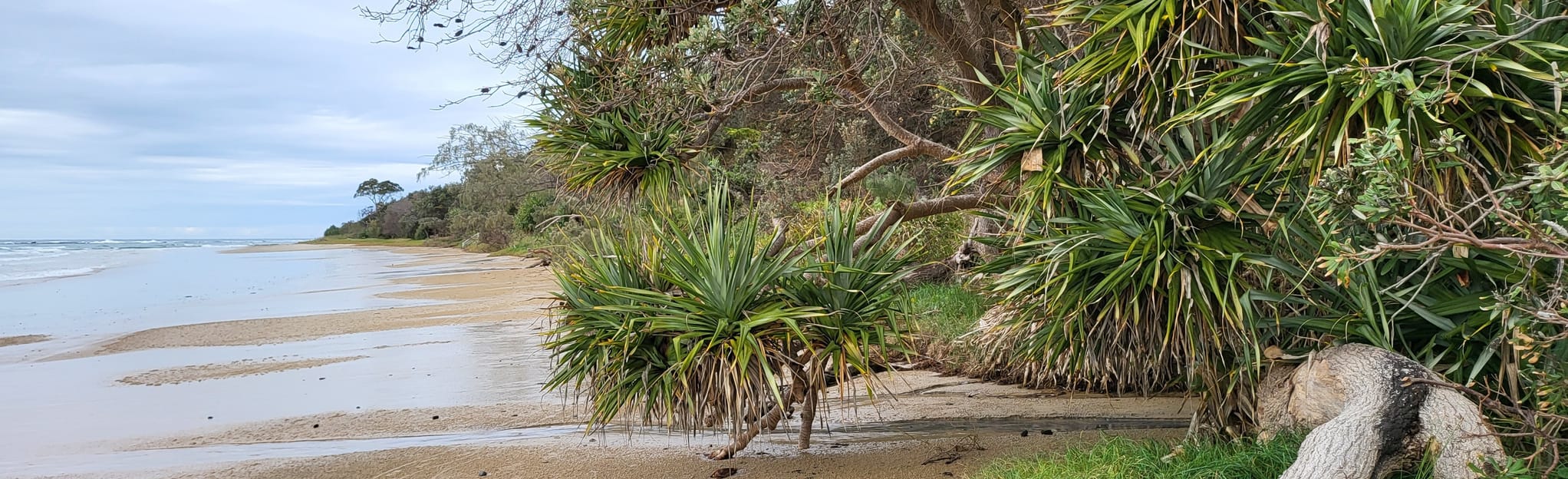 Yuragir Coastal Walk: Illaroo to Wooli: 75 Fotos - New South Wales ...