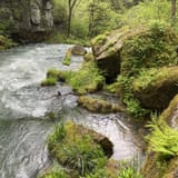 Greer Spring Trail, Missouri - 276 Reviews, Map | AllTrails