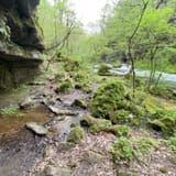 Greer Spring Trail, Missouri - 276 Reviews, Map | AllTrails