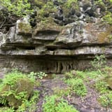 Greer Spring Trail, Missouri - 276 Reviews, Map | AllTrails