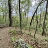 Greer Spring Trail, Missouri - 276 Reviews, Map | AllTrails