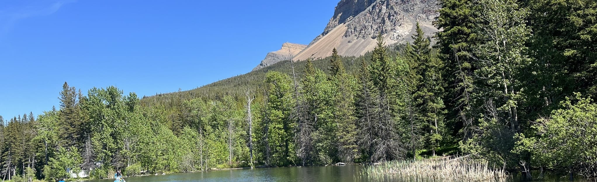 Beaver Mines Lake Paddle, 2 Fotos - Alberta, Canada | AllTrails