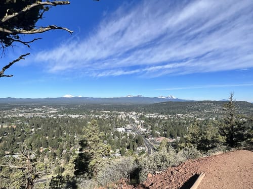 Best Hikes and Trails in Joe Dancer Park | AllTrails