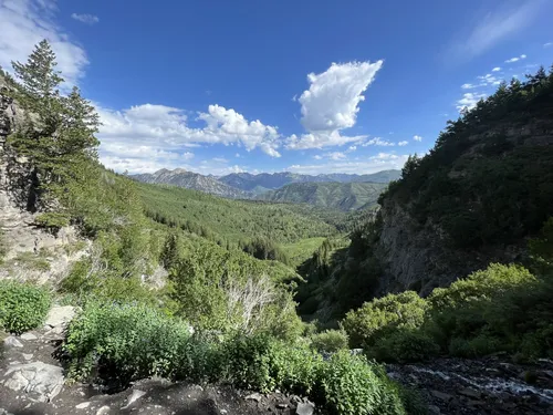 10 Best Trails and Hikes in Provo | AllTrails