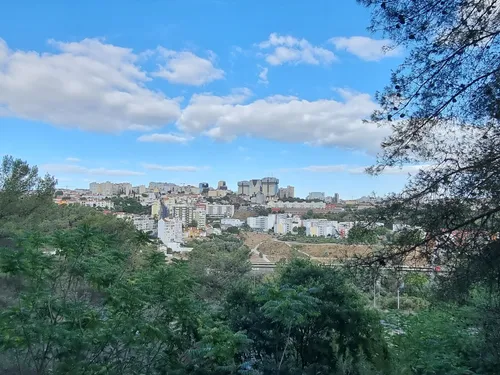 10 Best Hikes and Trails in Monsanto Forest Park | AllTrails