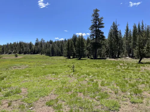 10 Best Camping Trails In Carson Iceberg Wilderness Alltrails