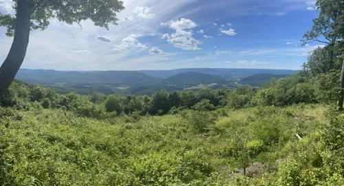 Best Hikes and Trails in Green Ridge State Forest | AllTrails