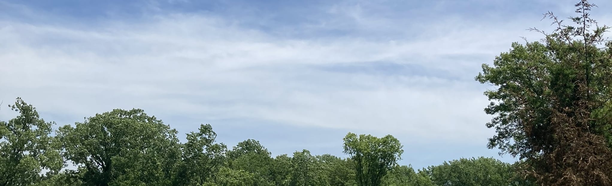 Saganashkee Slough: 242 Reviews, Map - Illinois | AllTrails