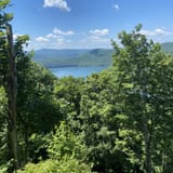 Shavertown Trail, New York - 275 Reviews, Map | AllTrails