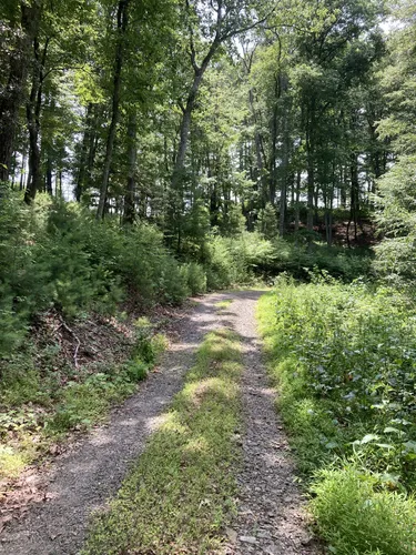 Best Hikes and Trails in Matthews State Forest | AllTrails