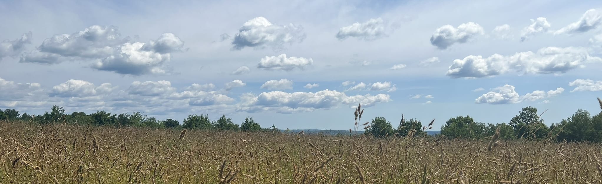 Antolini Woods to Phillips Farm | Map, Guide - Connecticut | AllTrails