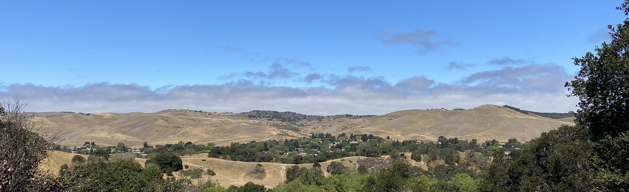 Toyon and Cougar Ridge Loop, California - 187 Reviews, Map | AllTrails