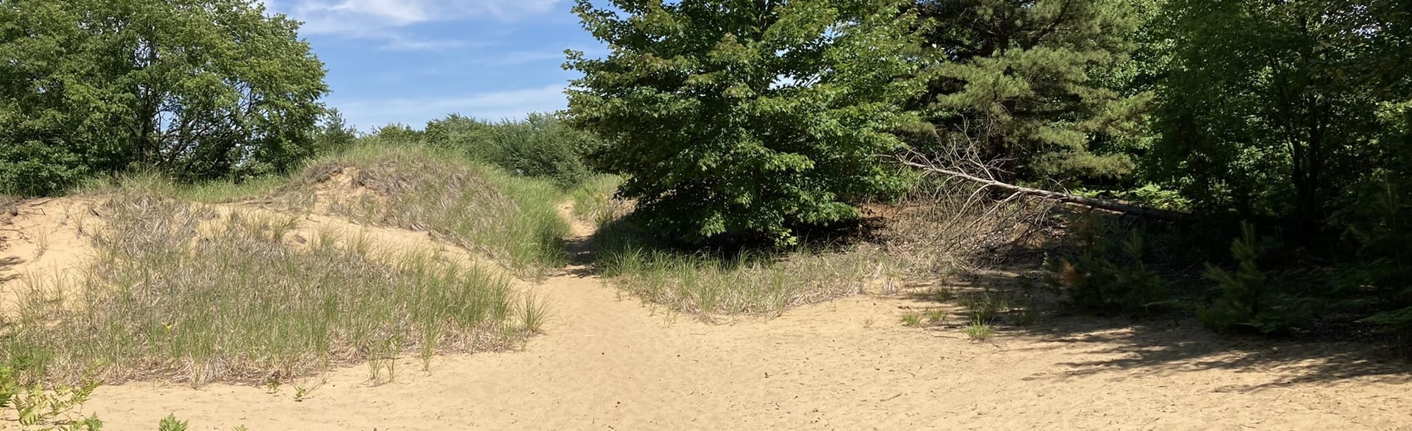 Port Sheldon Natural Area: North Loop, Michigan - 114 Reviews, Map ...