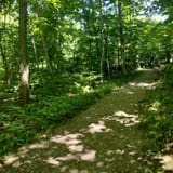 Bee Tree Lake Loop, Missouri - 515 Reviews, Map | AllTrails