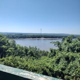 Bee Tree Lake Loop, Missouri - 515 Reviews, Map | AllTrails