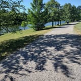 Bee Tree Lake Loop, Missouri - 515 Reviews, Map | AllTrails