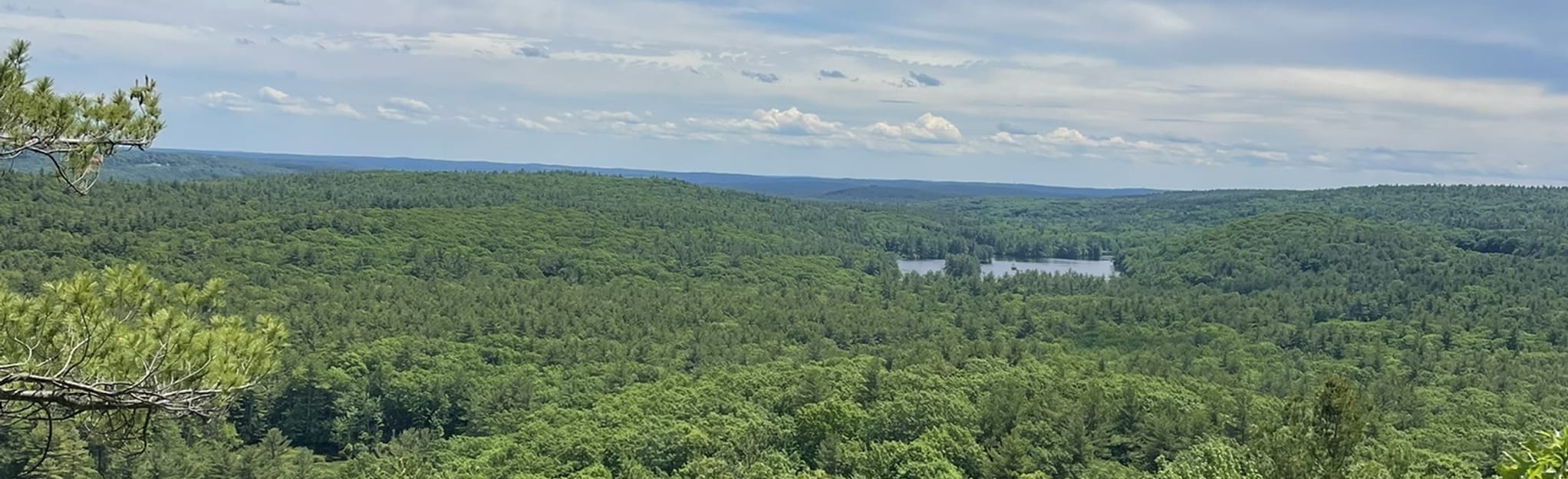 Redemption Rock to Crow Hill via Midstate Trail: 446 Reviews, Map ...