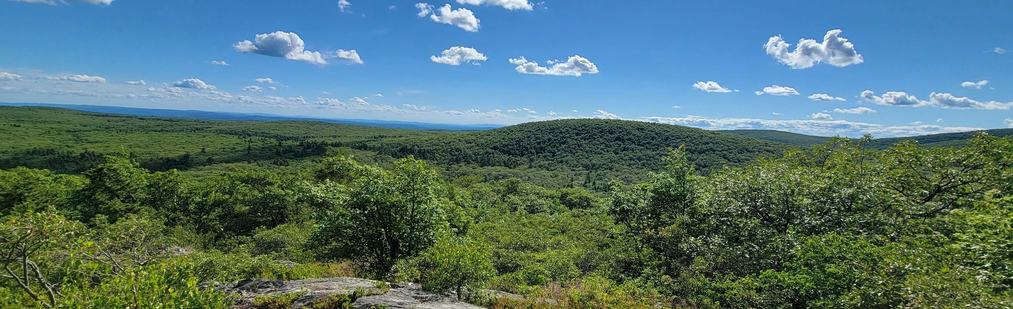 Appalachian Trail: Salisbury to Jug End Road, Connecticut - 113 Reviews ...