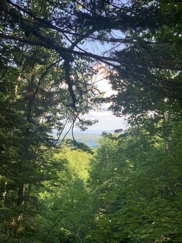 Best Hikes and Trails in Big Ravine Nature Preserve | AllTrails