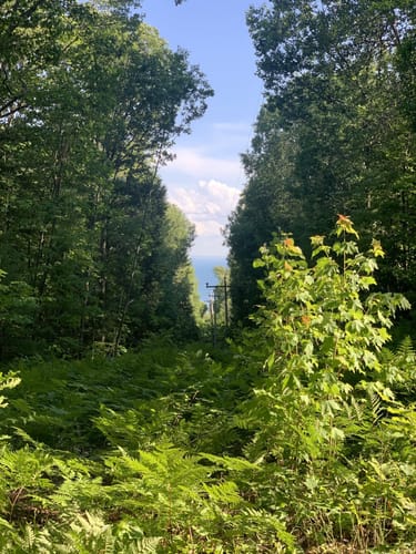 Best Hikes and Trails in Big Ravine Nature Preserve | AllTrails