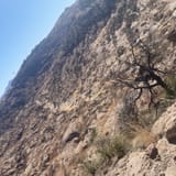 Devil's Canyon Trail, Arizona - 170 Reviews, Map | AllTrails