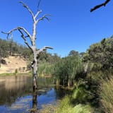 Frog Lake Loop Trail, California - 563 Reviews, Map | AllTrails