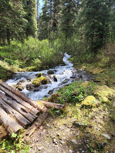 2023 Best Trails near Mount Murray | AllTrails