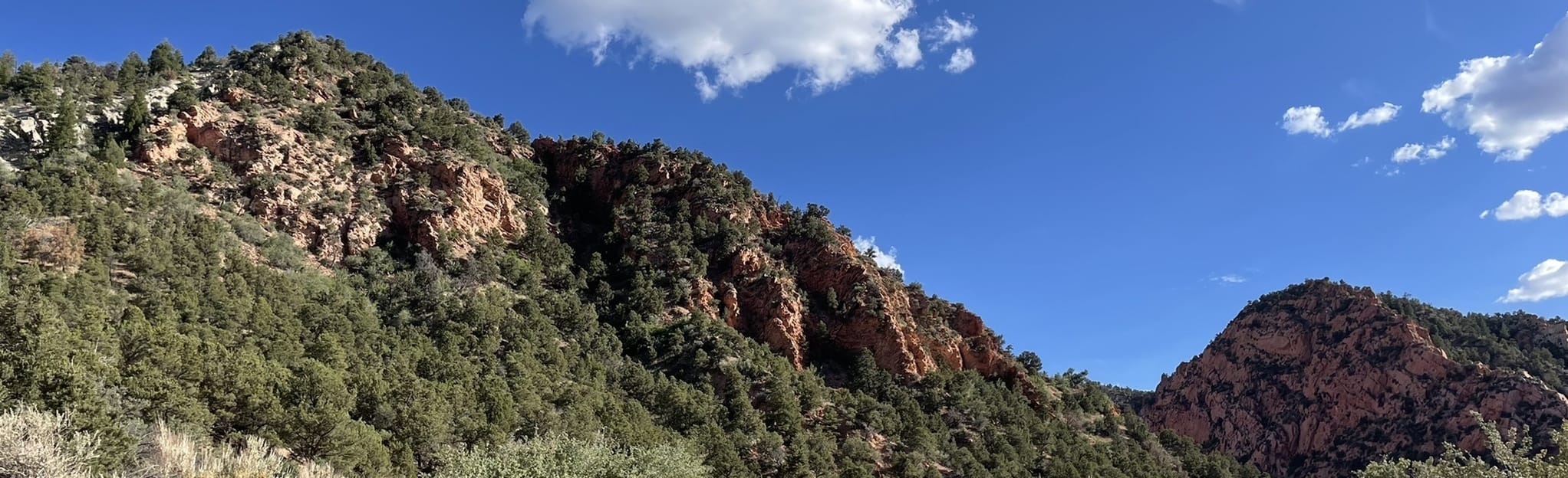 Cedar Canyon Trail, Utah - 352 Reviews, Map | AllTrails