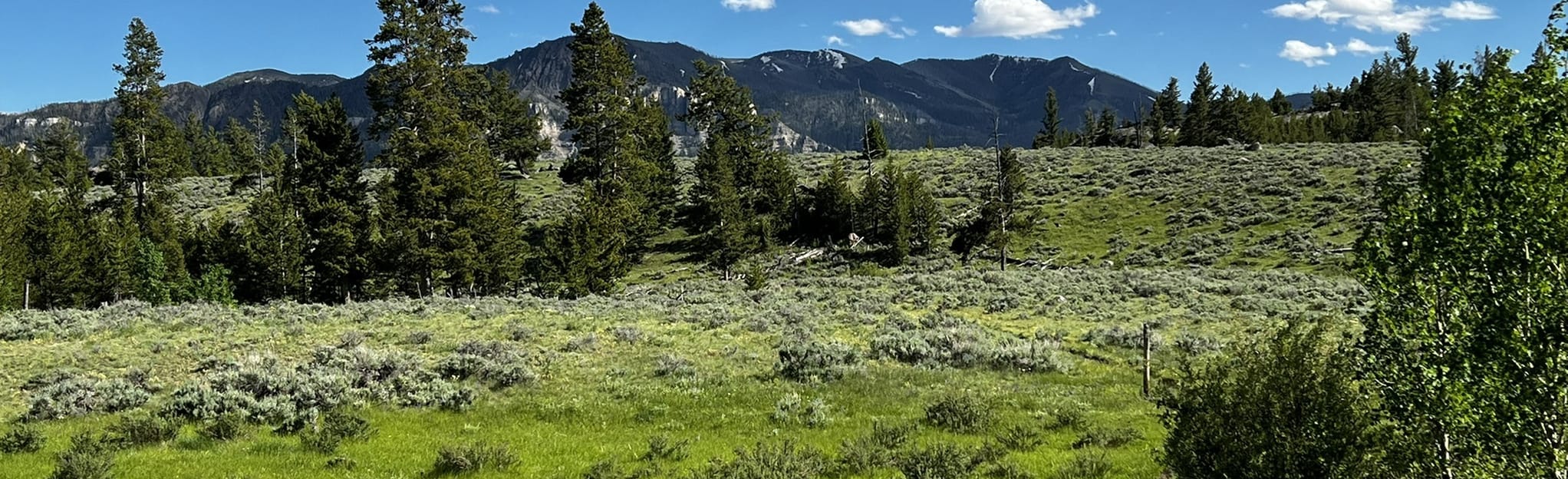 Clark's Fork Canyon West End Trail, Wyoming - 17 Reviews, Map | AllTrails